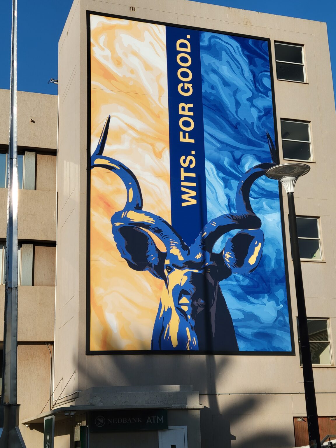 University of Witwatersrand – Student Stories